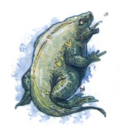 Spitter | Forgotten Realms Wiki | Fandom