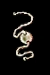 Titanfell | Forgotten Realms Wiki | Fandom