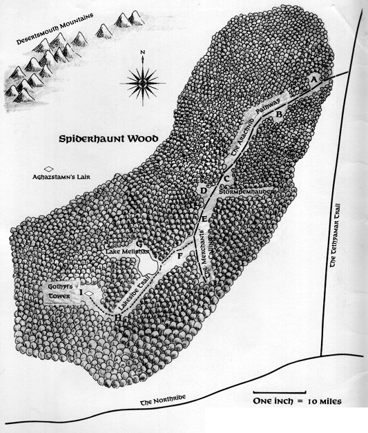 Forgotten Maps: Faerun and Sword Coast Maps for DnD 5e