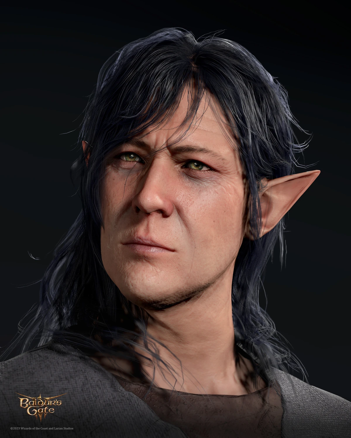 Arnell Hallowleaf | Forgotten Realms Wiki | Fandom