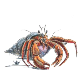Crustaceans