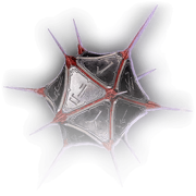 Astral Prism | Forgotten Realms Wiki | Fandom