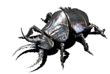 Giant Stag Beetle Dandd