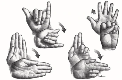 Somatic component | Forgotten Realms Wiki | Fandom