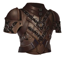 Ring mail | Forgotten Realms Wiki | Fandom