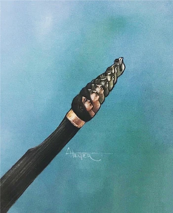 Wand of polymorph | Forgotten Realms Wiki | Fandom