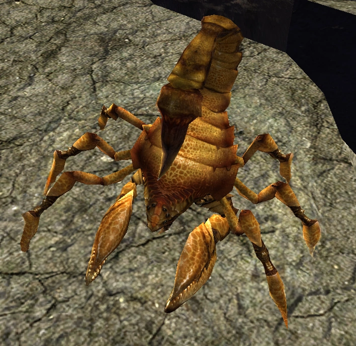 Stonelands scorpion | Forgotten Realms Wiki | Fandom