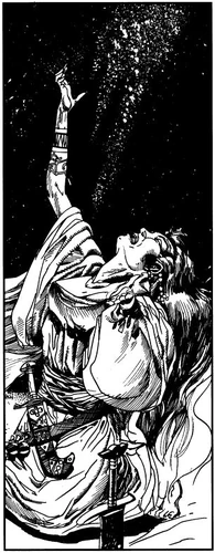 The Constellation | Forgotten Realms Wiki | Fandom