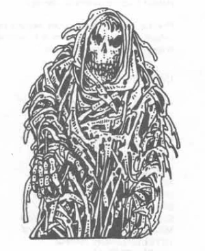 Heucuva | Forgotten Realms Wiki | Fandom