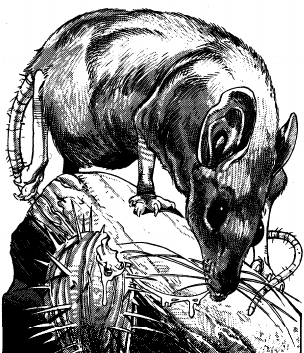 Beguiler | Forgotten Realms Wiki | Fandom