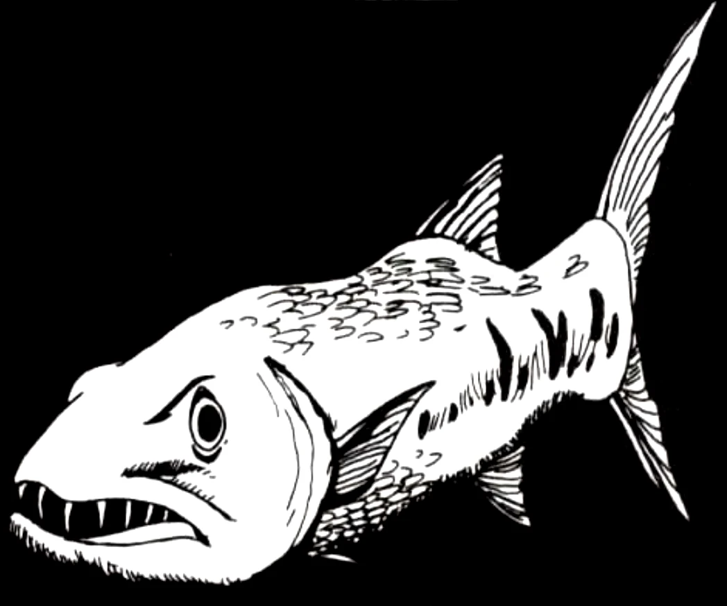 Barracuda | Forgotten Realms Wiki | Fandom