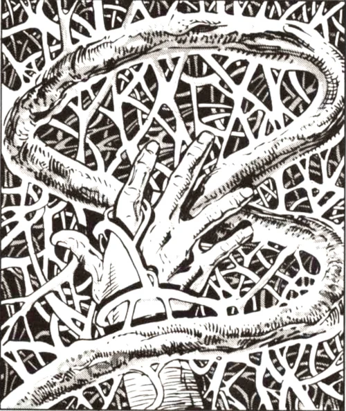 Infinity vine | Forgotten Realms Wiki | Fandom