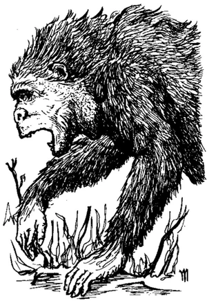 Gigantopithecus | Forgotten Realms Wiki | Fandom