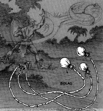 Bolas | Forgotten Realms Wiki | Fandom