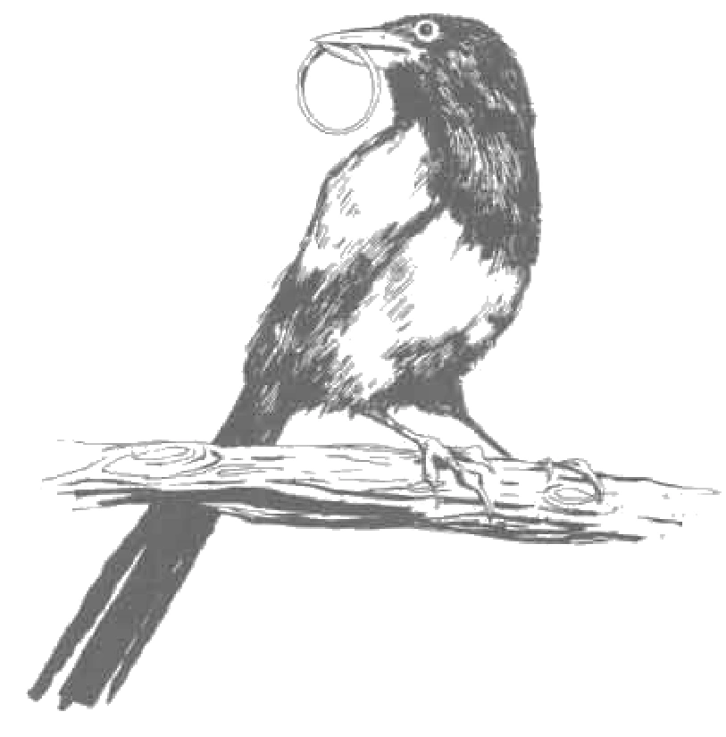 Magpie | Forgotten Realms Wiki | Fandom
