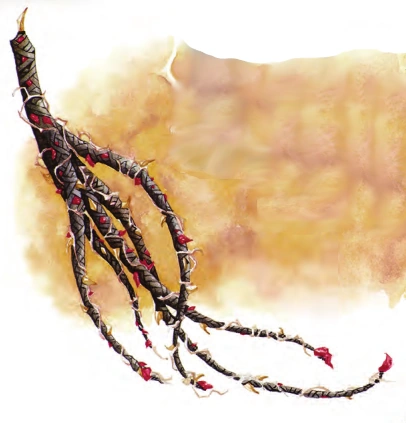 Scourge of pain | Forgotten Realms Wiki | Fandom