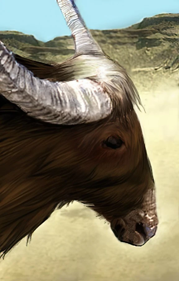 Kizo | Forgotten Realms Wiki | Fandom