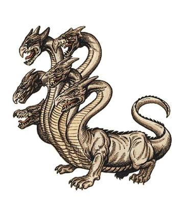 Types Of Hydra