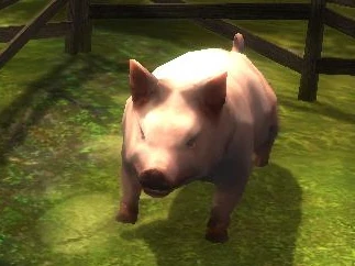 Lewy Jons' hog | Forgotten Realms Wiki | Fandom