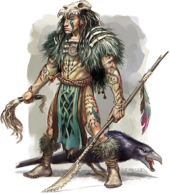 Shaman | Forgotten Realms Wiki | Fandom
