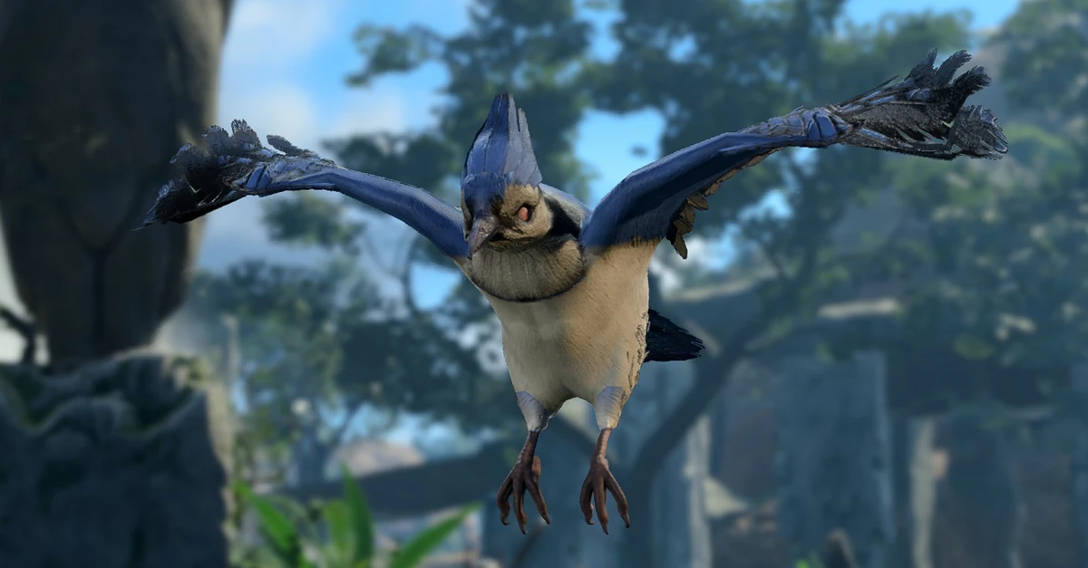 Topaz (bird) | Forgotten Realms Wiki | Fandom