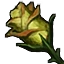 Desert rose | Forgotten Realms Wiki | Fandom
