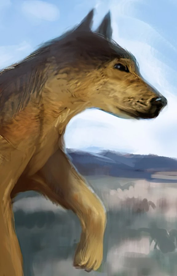 Laddie | Forgotten Realms Wiki | Fandom