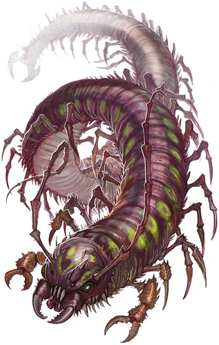 Megapede | Forgotten Realms Wiki | Fandom