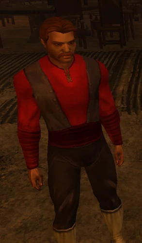 Two-Penny Tam | Forgotten Realms Wiki | Fandom