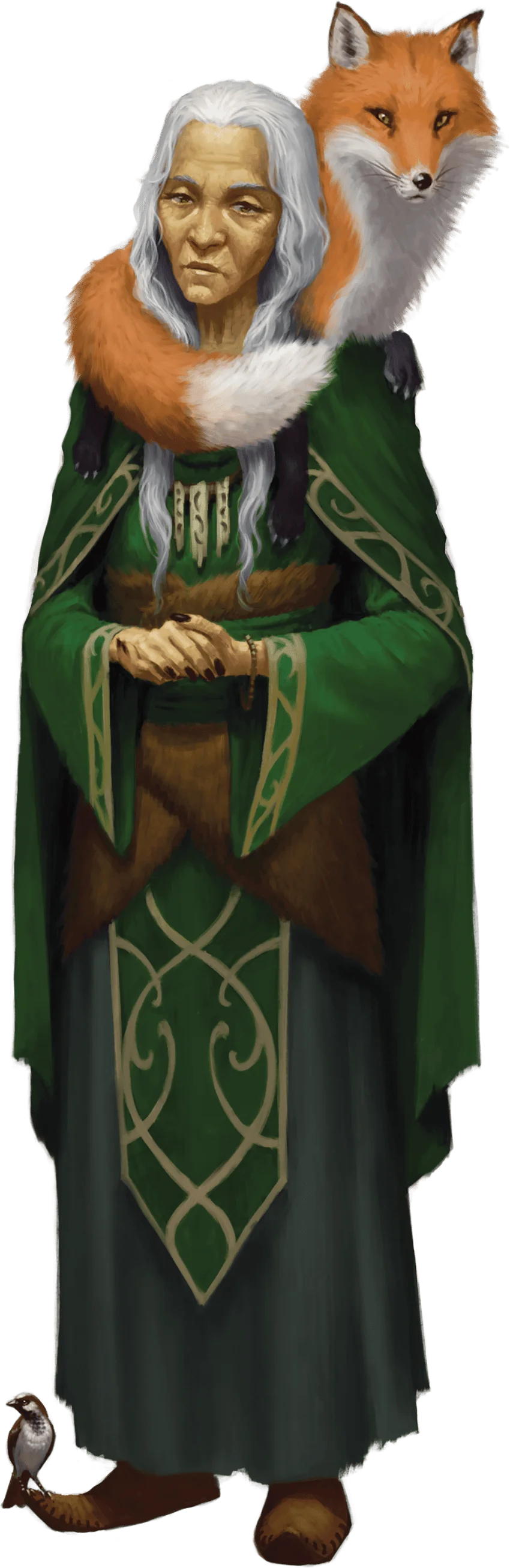 Reidoth | Forgotten Realms Wiki | Fandom