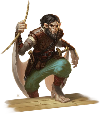 Hadozee | Forgotten Realms Wiki | Fandom