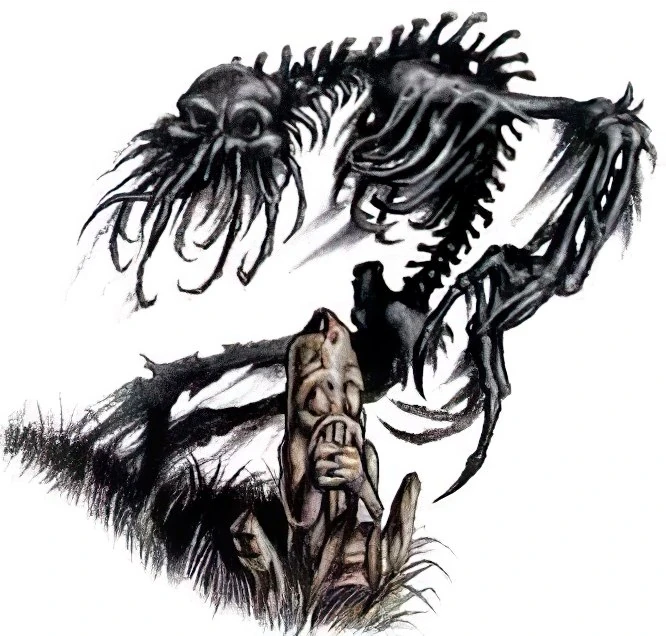 Shadow eft | Forgotten Realms Wiki | Fandom