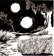Will-o'-wisp | Forgotten Realms Wiki | Fandom