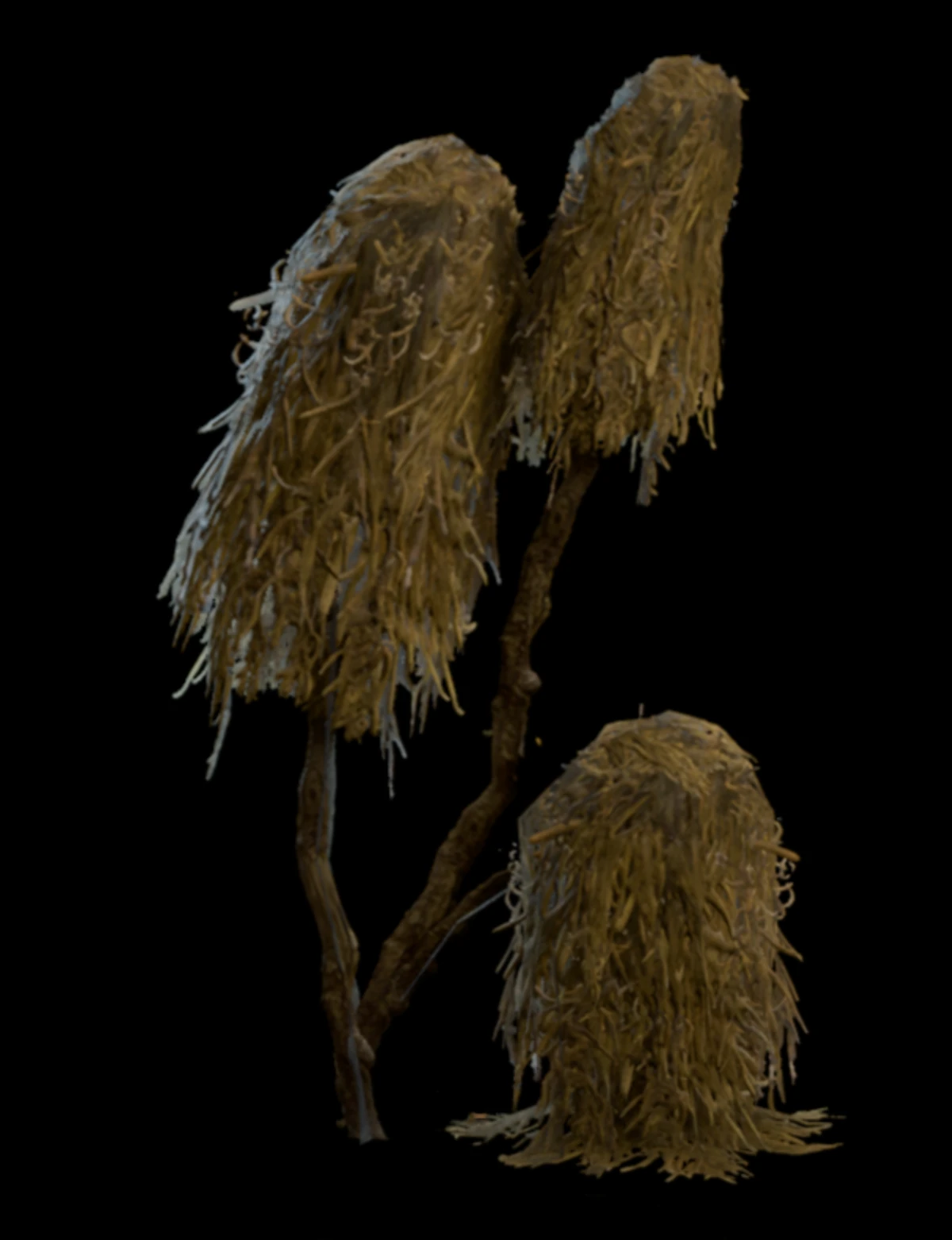 Wispweed | Forgotten Realms Wiki | Fandom