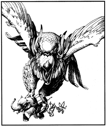 Zakharan roc | Forgotten Realms Wiki | Fandom