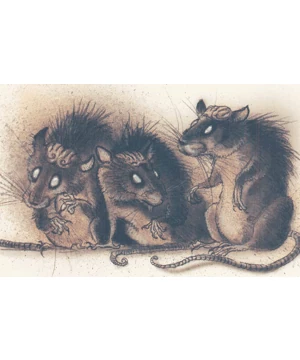 Cranium rat | Forgotten Realms Wiki | Fandom