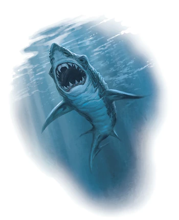 Shark | Forgotten Realms Wiki | Fandom
