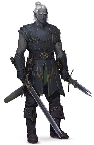 Zaknafein Do'Urden | Forgotten Realms Wiki | Fandom