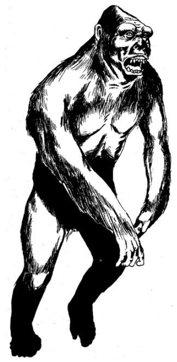 Gigantopithecus | Forgotten Realms Wiki | Fandom