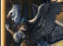 Aarakocra | Forgotten Realms Wiki | Fandom