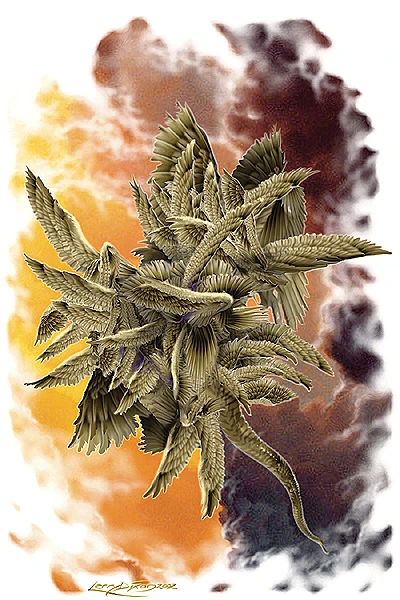 Chichimec | Forgotten Realms Wiki | Fandom