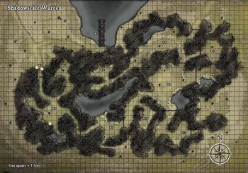 Shadowscale Warren | Forgotten Realms Wiki | Fandom