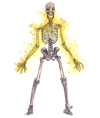 Blazing skeleton | Forgotten Realms Wiki | Fandom