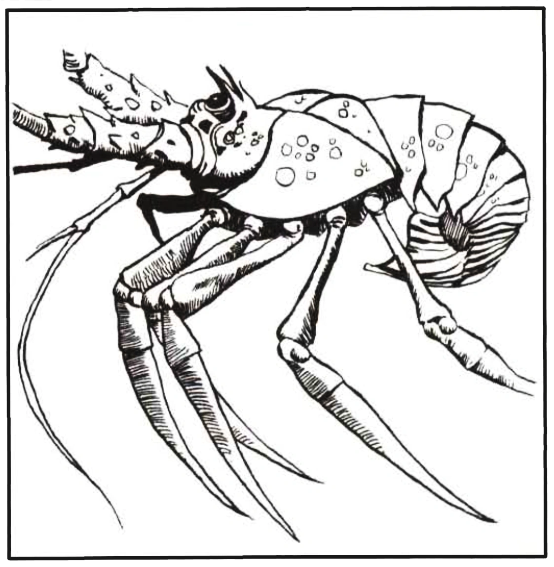 Category:Food and drink from Evermeet | Forgotten Realms Wiki | Fandom