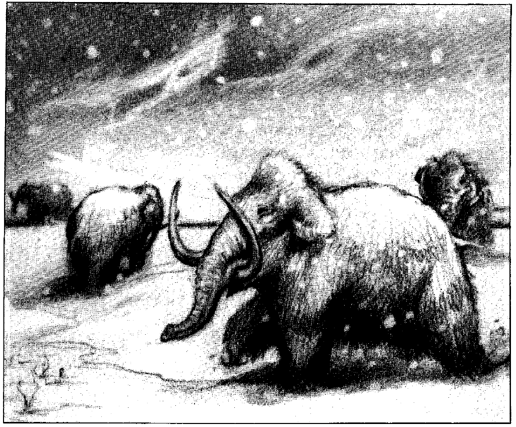 Miniature Model Dire Woolly Mammoth- Dungeons and dragons 40k ...