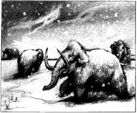 Mammoth | Forgotten Realms Wiki | Fandom