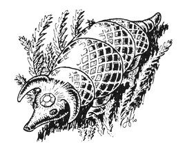 Carbuncle | Forgotten Realms Wiki | Fandom