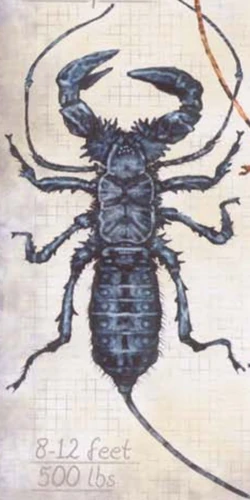 Uropygus | Forgotten Realms Wiki | Fandom