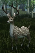 Deer | Forgotten Realms Wiki | Fandom