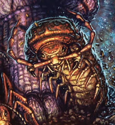 Monstrous centipede | Forgotten Realms Wiki | Fandom